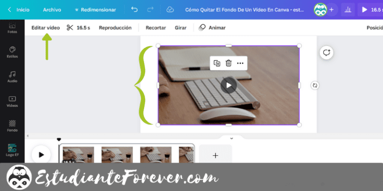 Cómo Quitar El Fondo De Un Vídeo En Canva - estudianteforever.com